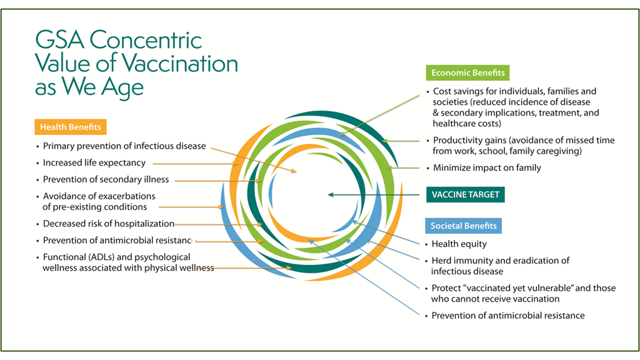 The National Adult Vaccination Program (NAVP)